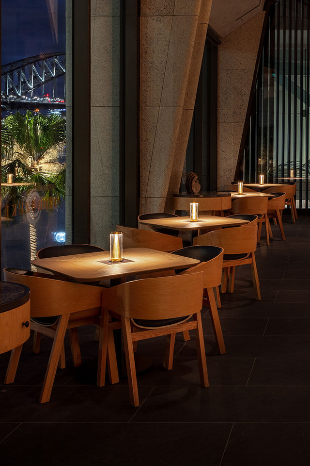 The NEOZ System – NEOZ