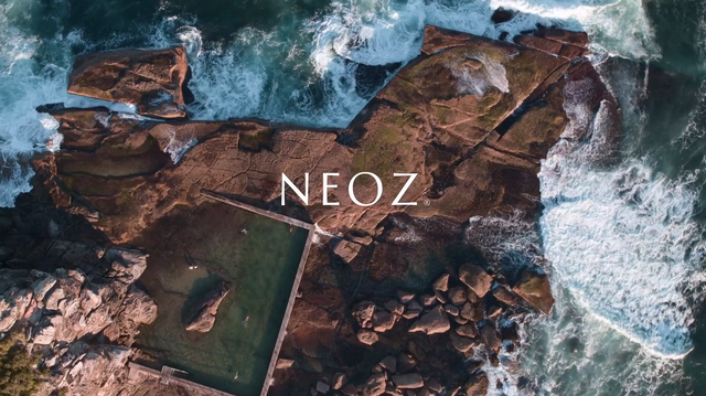 NEOZ N1 Cordless Light Engine – NEOZ