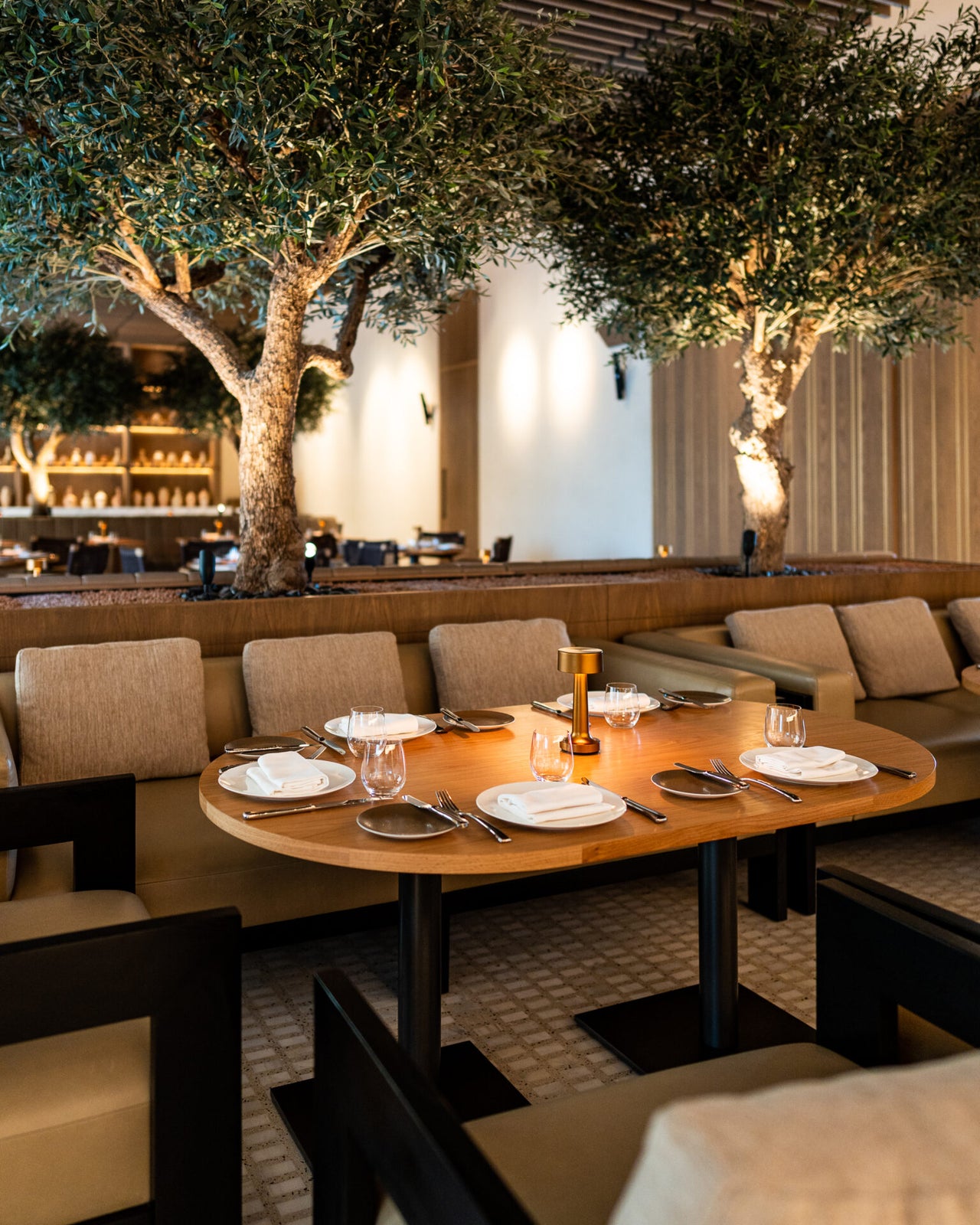 NEOZ Lighting Authorised Representative - Pioneer Horeca – NEOZ